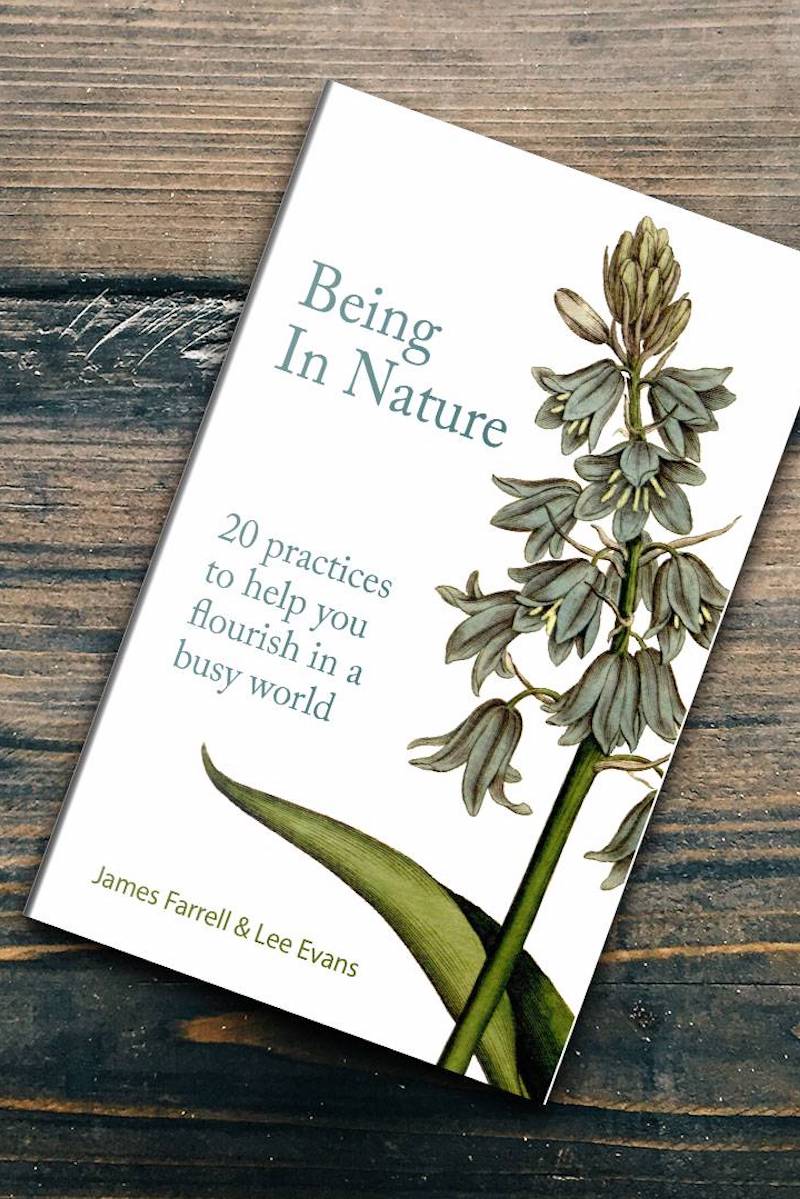 Buy Being in Nature Book | 20 Practices for Calm & Wellbeing